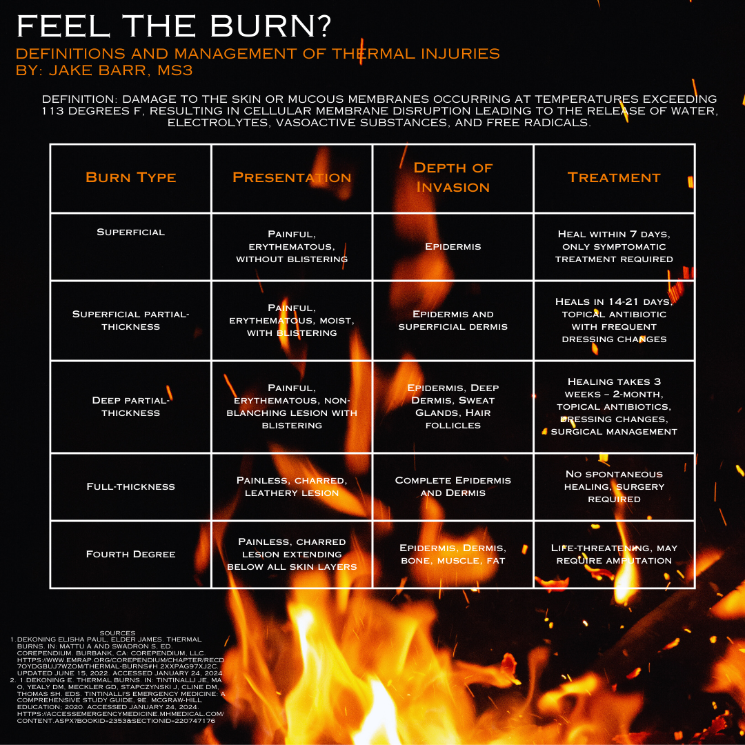Feel the Burn? - EM Daily
