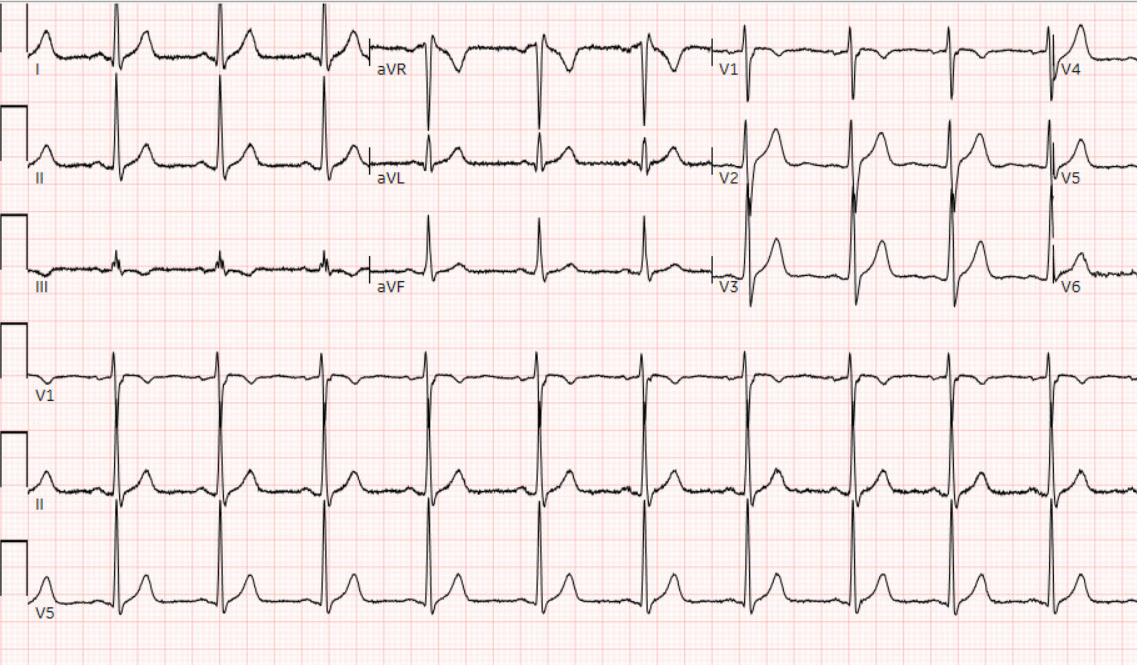 - Emergency and critical care knowledge, daily