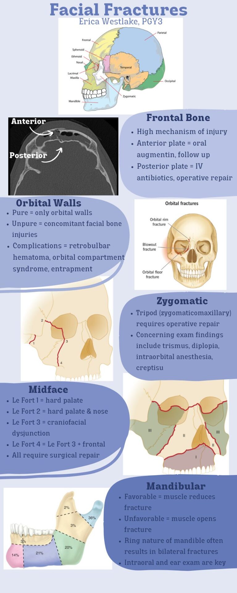 Facial Fractures with Dr. Erica Westlake - EM Daily