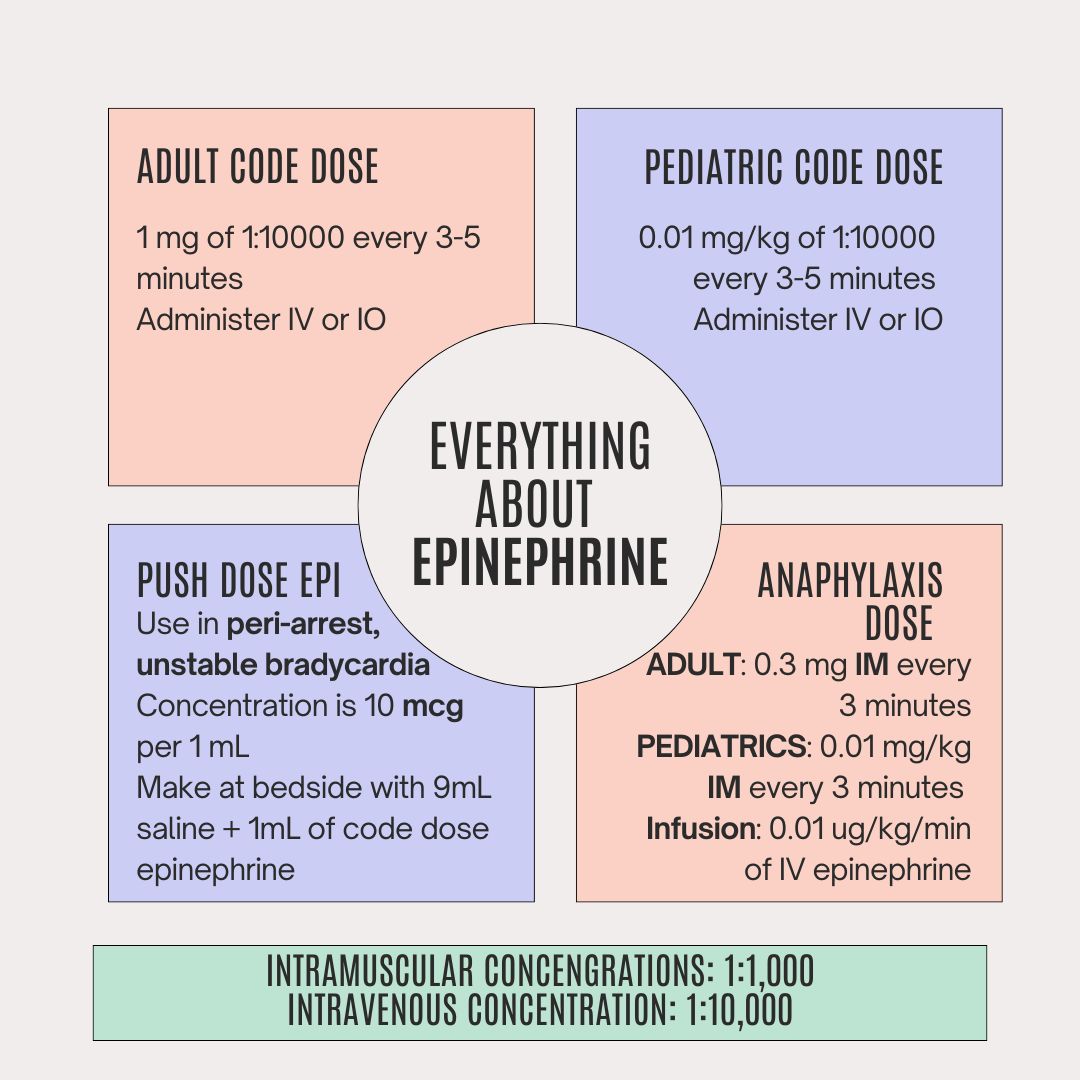Everything Epinephrine with Dr. Sean Coulson - EM Daily